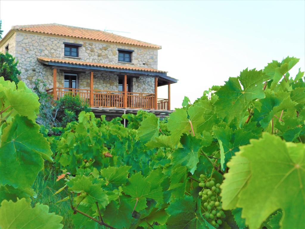 Abeloklima country house, Vasilikos – Updated 2024 Prices