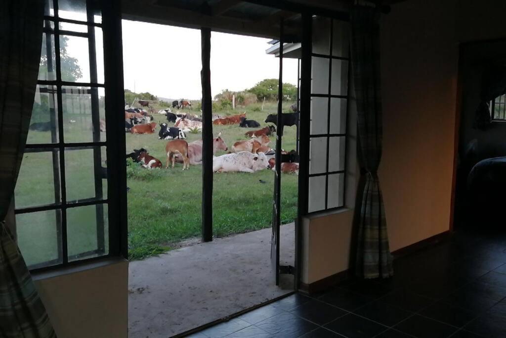 Suthu Farm House - SuiteTrails