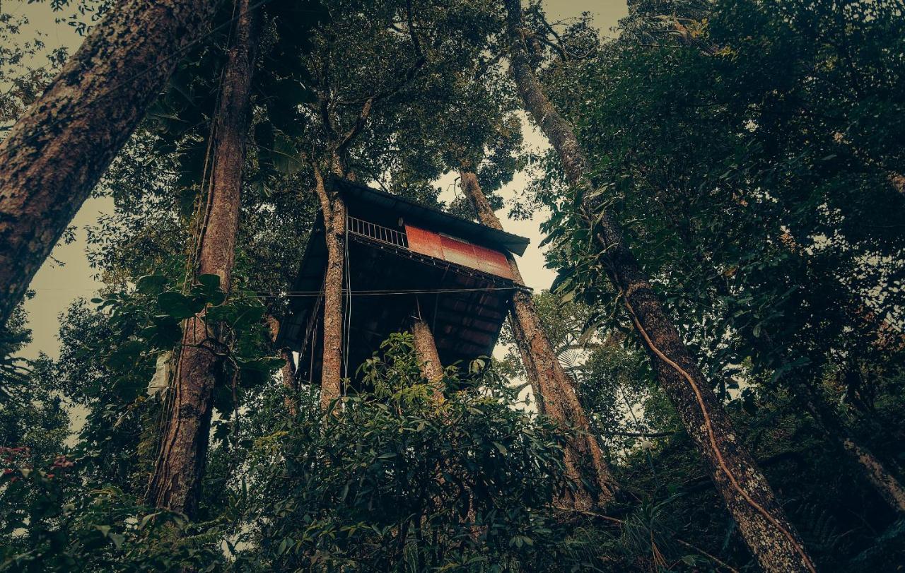 26 Beautiful Tree Houses in Kerala (2023) | Latest Offers, Photos